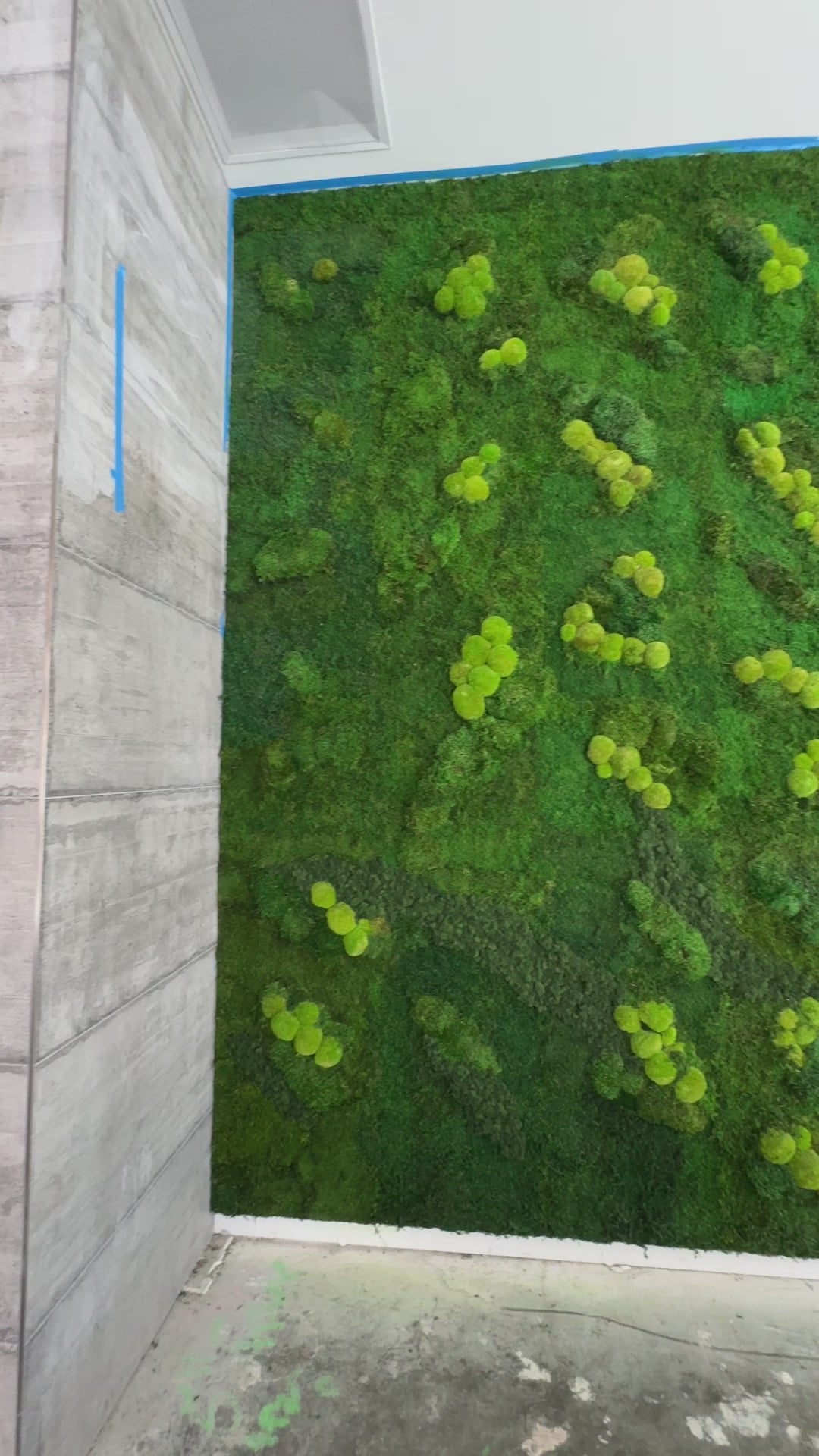 Ecosystem Moss Art Panels | Hand Crafted Moss Art Panels – MossFusion