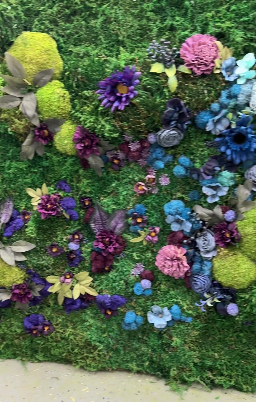 Colorful Moss Wall Art | A Vibrant Display of Colorful Moss – MossFusion