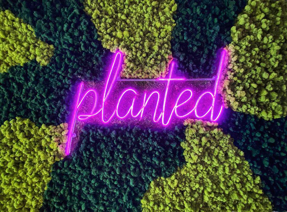 Customizable LED Neon Moss Art | LED Neon Custom Logos – MossFusion