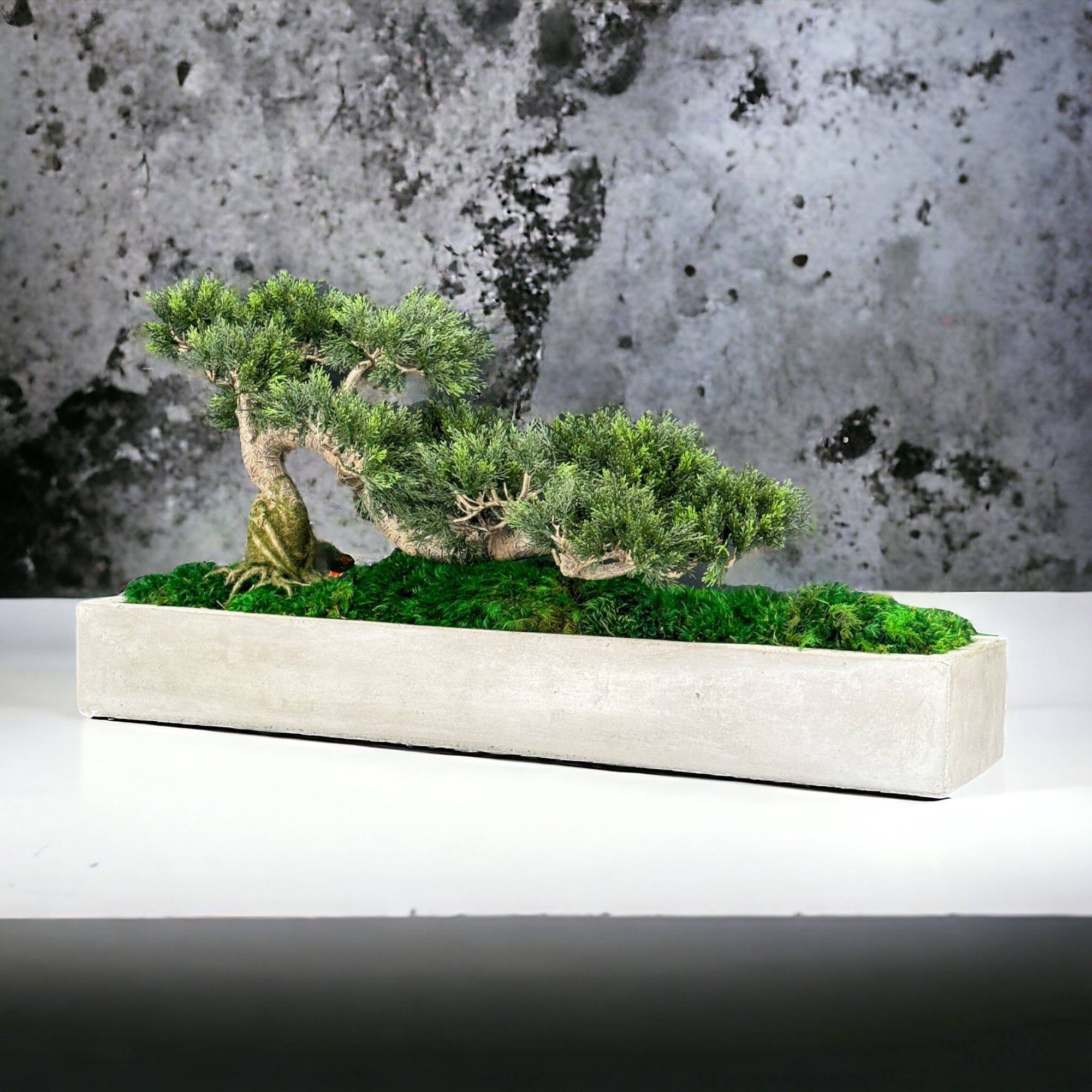 Faux Bonsai Tree in Concrete Planter with Preserved Moss – MossFusion