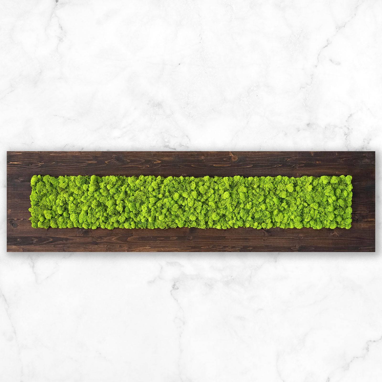 Finished Wood Moss Wall Decor for Sale | Natural Moss Panels – MossFusion