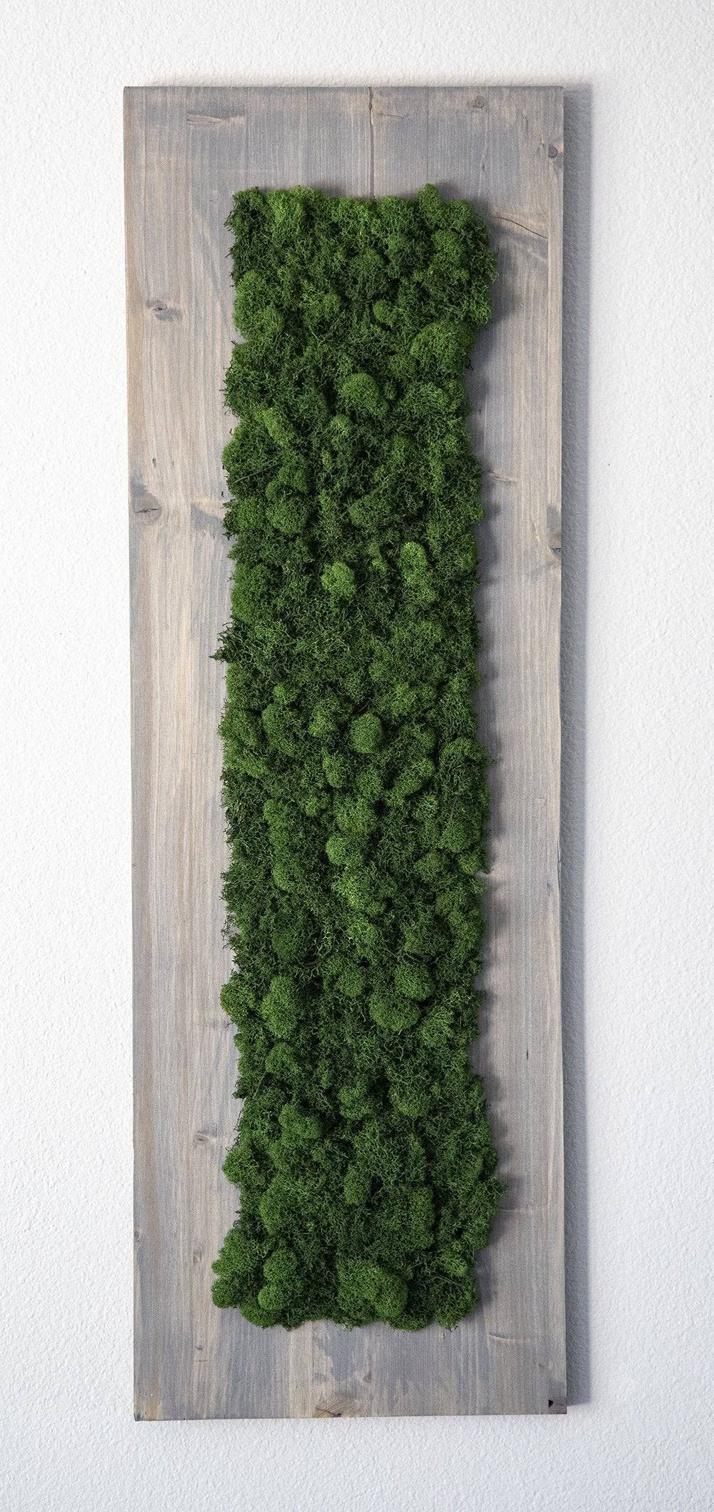 Finished Wood Moss Wall Decor for Sale | Natural Moss Panels – MossFusion