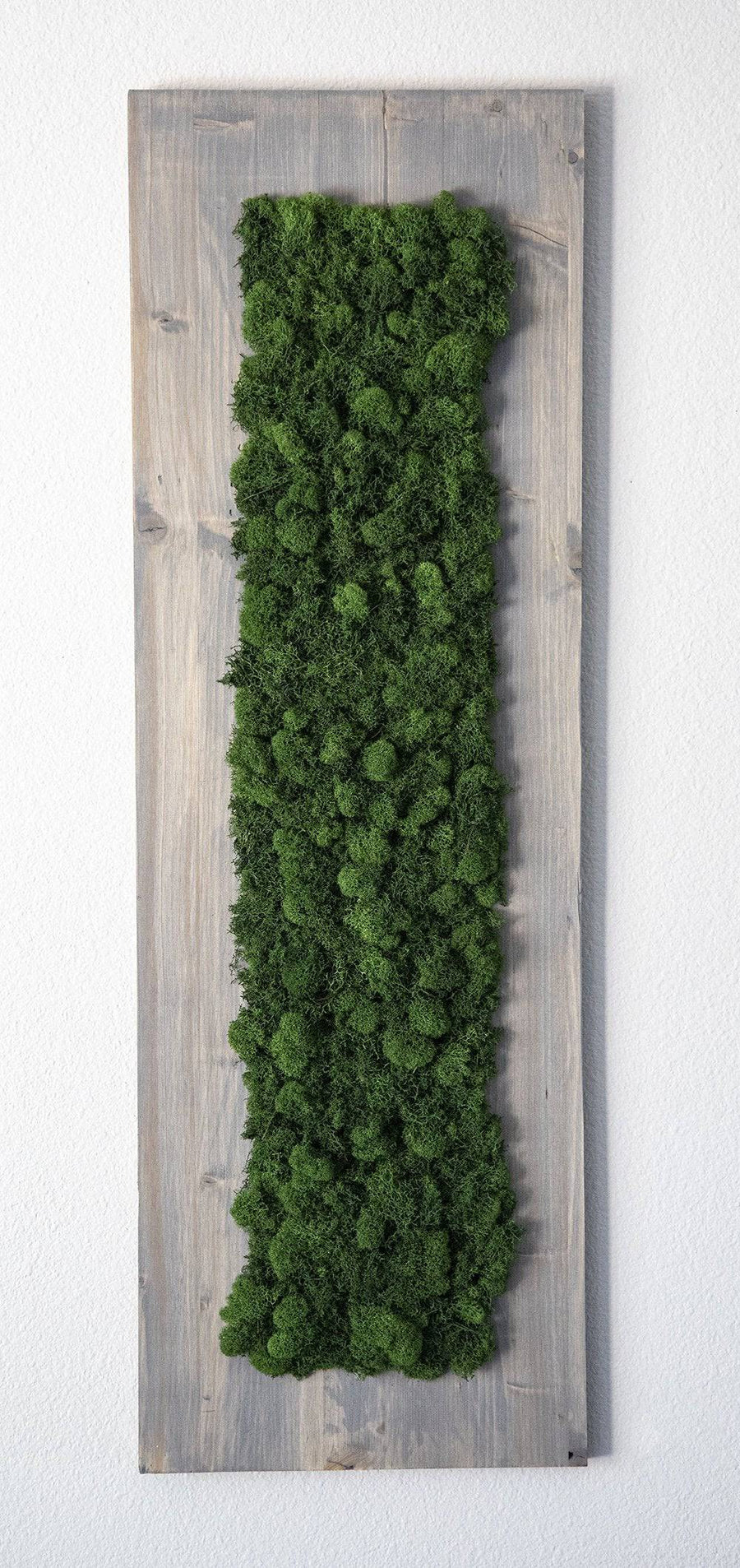 Finished Wood Moss Wall Decor for Sale | Natural Moss Panels – MossFusion