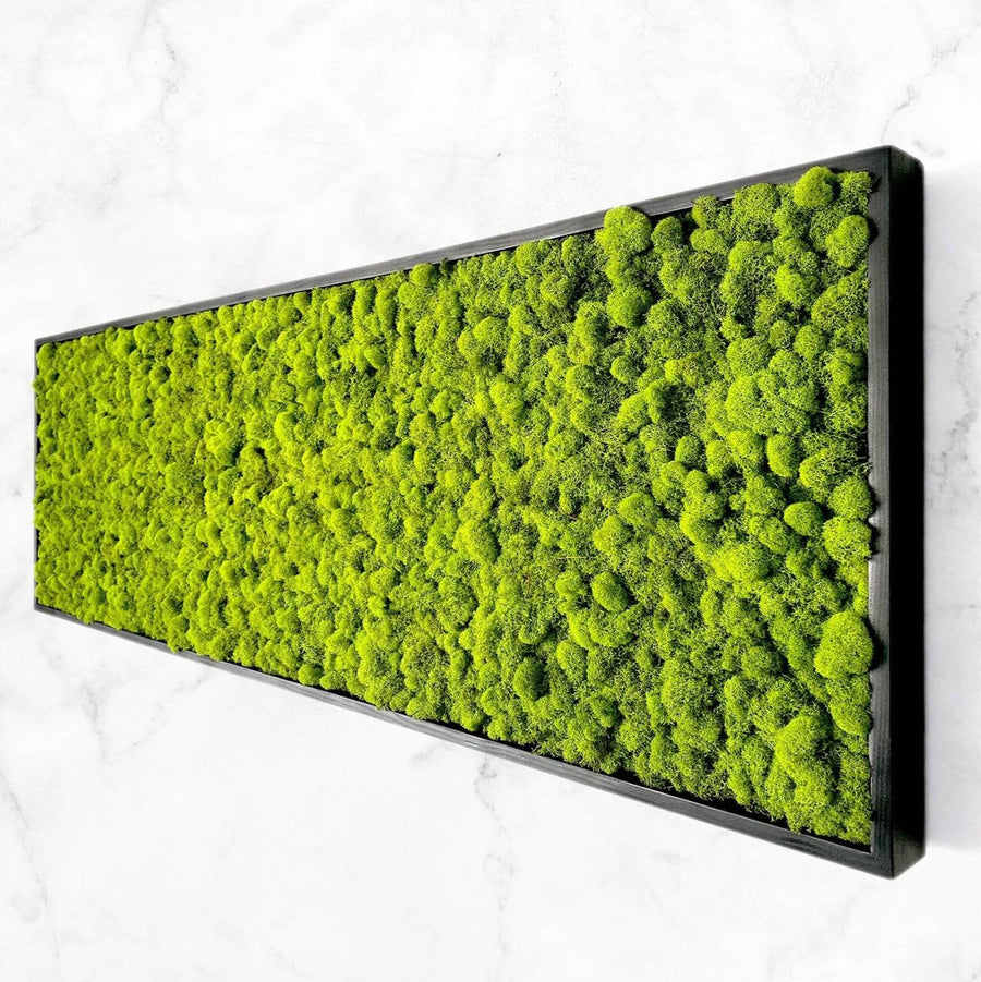 Preserved Moss Wall Art | Real, Live Moss Wall Art and Decor – MossFusion