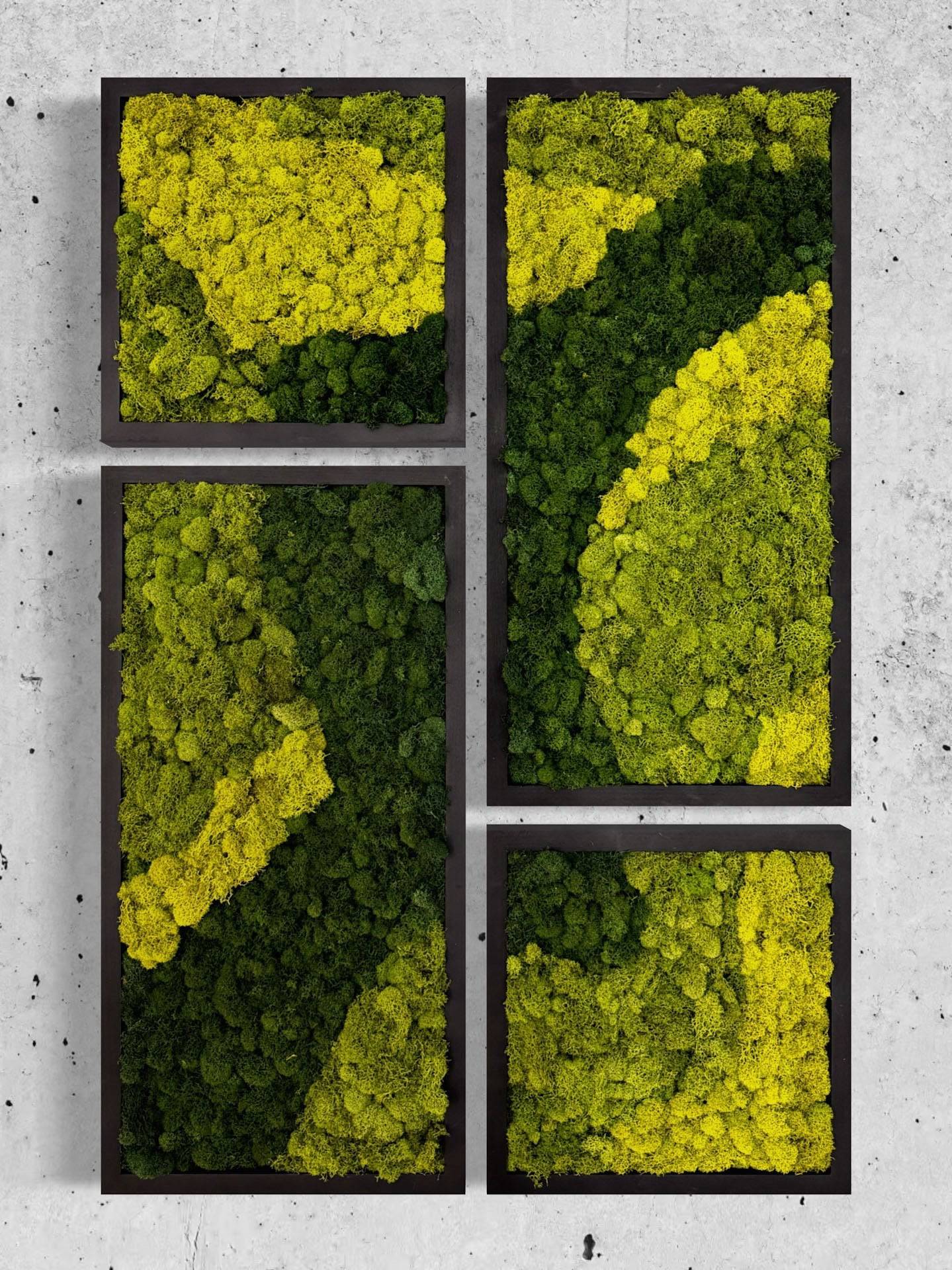 Mosaic Moss Art Sets – MossFusion