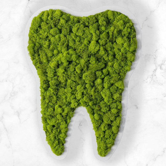 Moss Tooth Wall Art for Sale | Tooth shaped Moss | Moss Fusion – MossFusion
