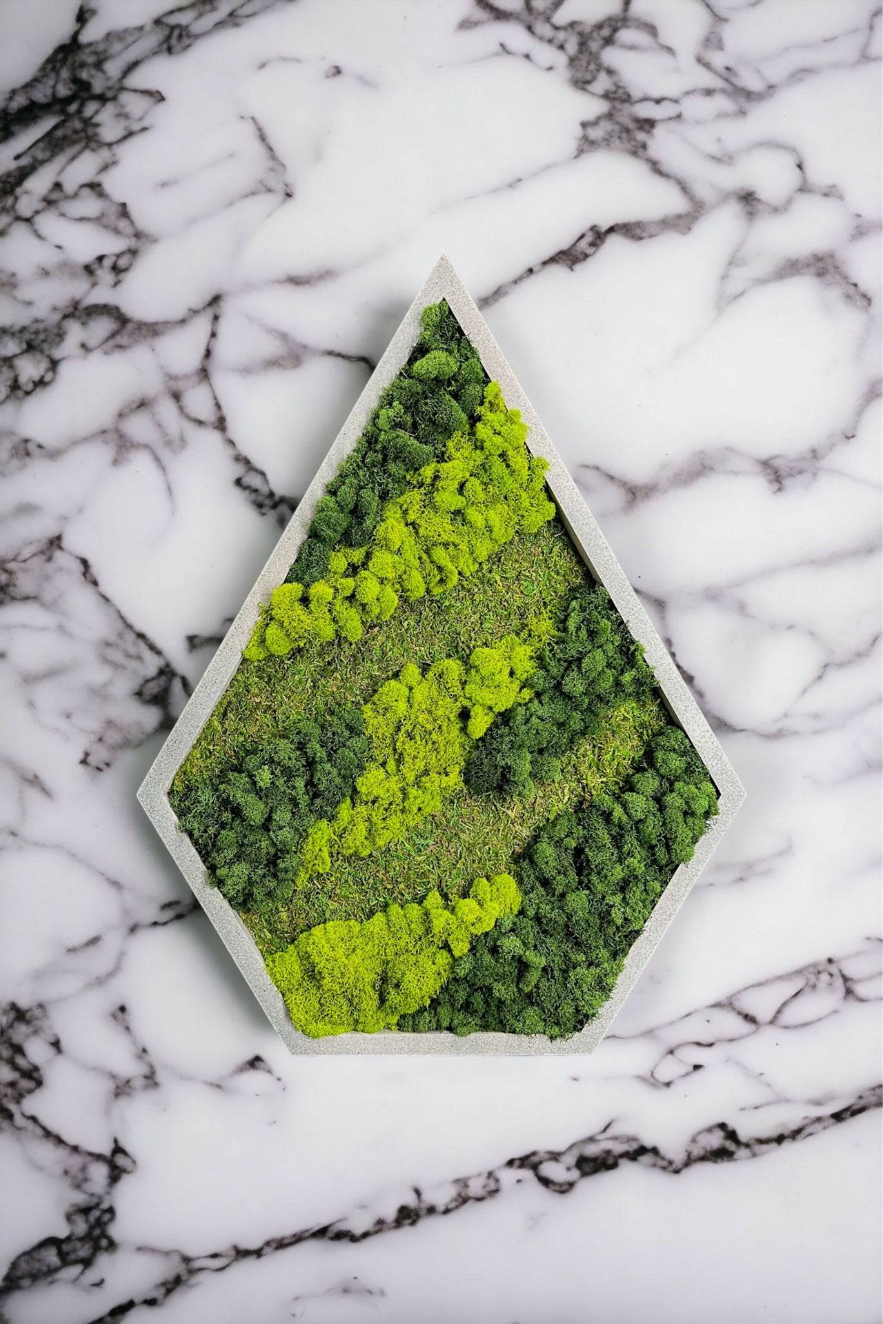 Moss Wall Art, Panels, Centerpieces for Home or Office Decor – MossFusion